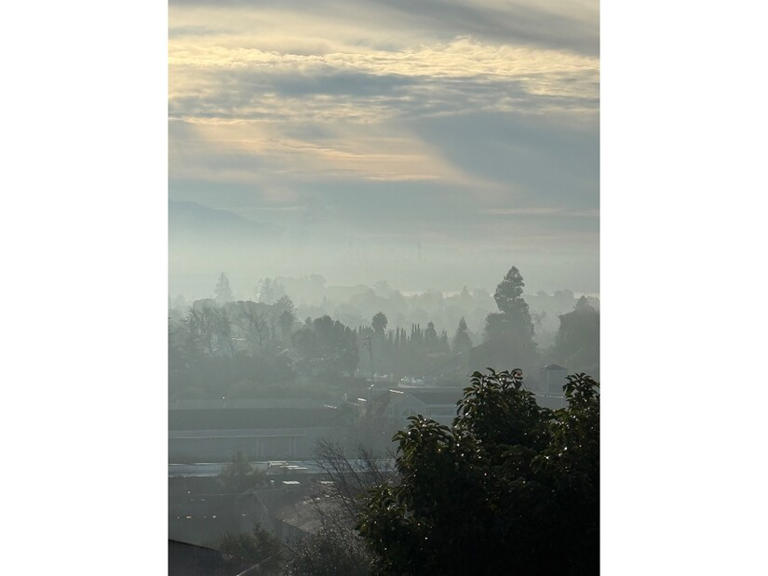 🌱 Patch AM: Continuing welding (paying members only) and 12 more events