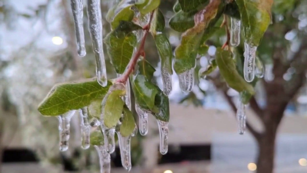 Over 850 people in need use Austin's cold weather shelters during ...