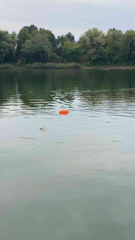 Best fishing setup for big fish that every angler should try
