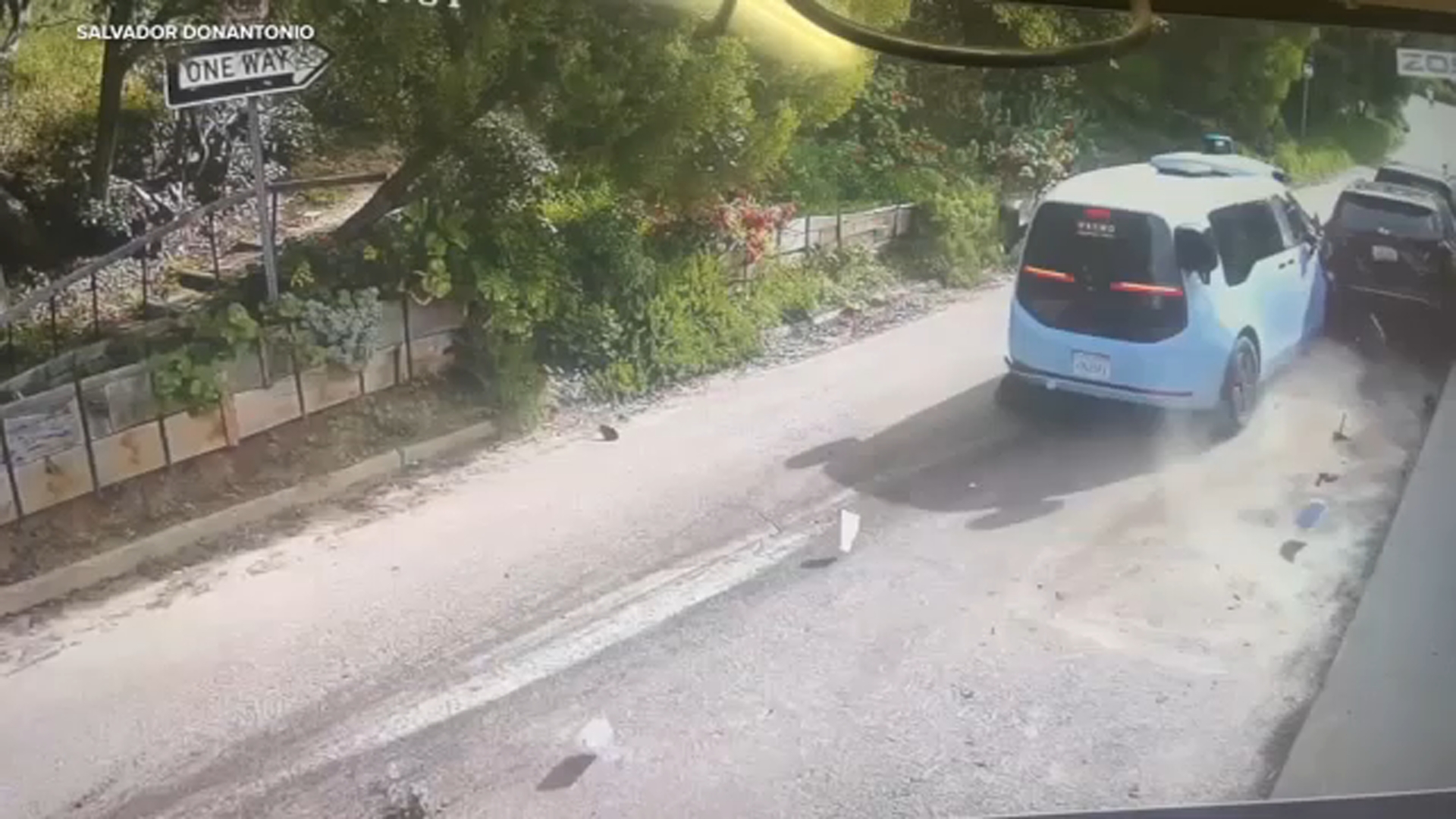 Video shows Waymo vehicle with driver onboard slam into parked cars in ...