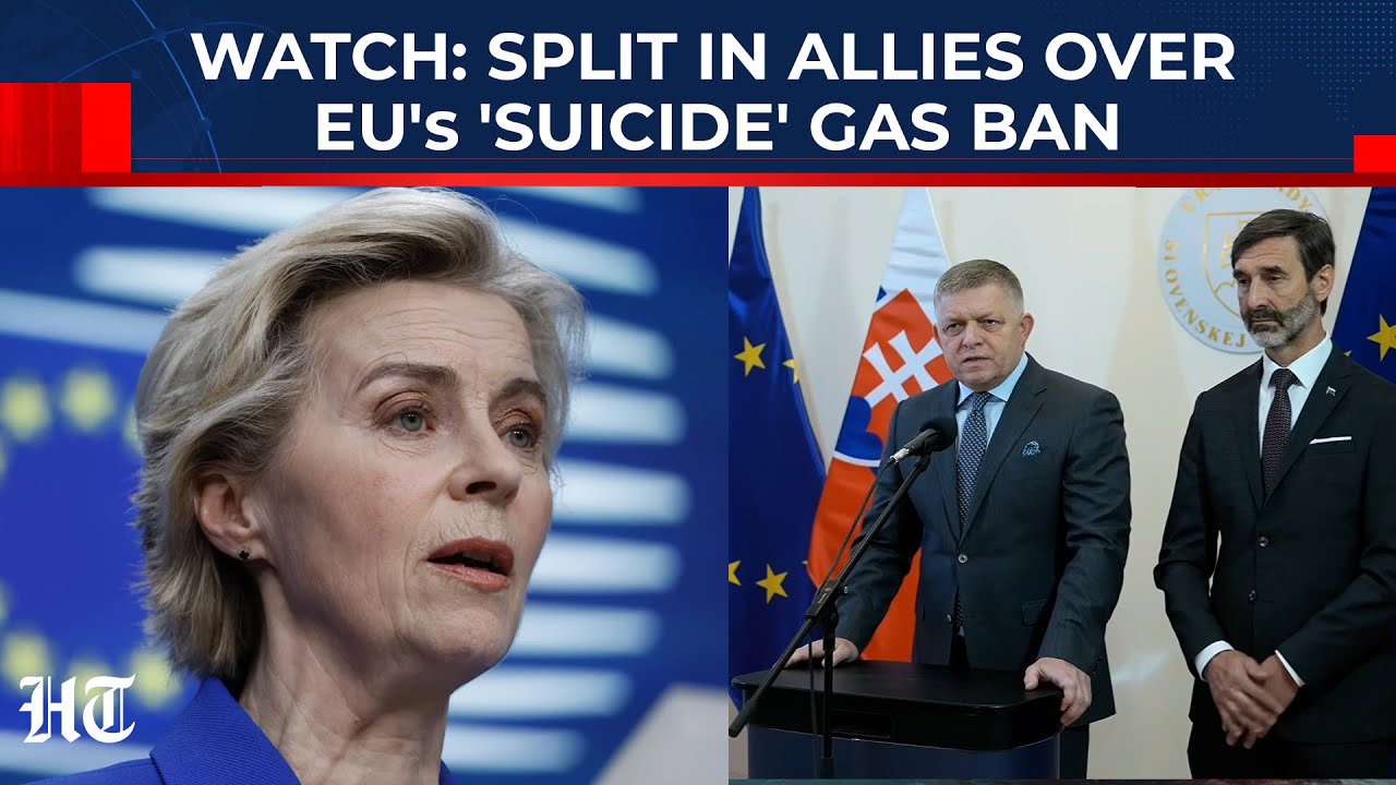 Cutting Off Russian Gas Is Suicide Putins Friends To File Lawsuits Over ...