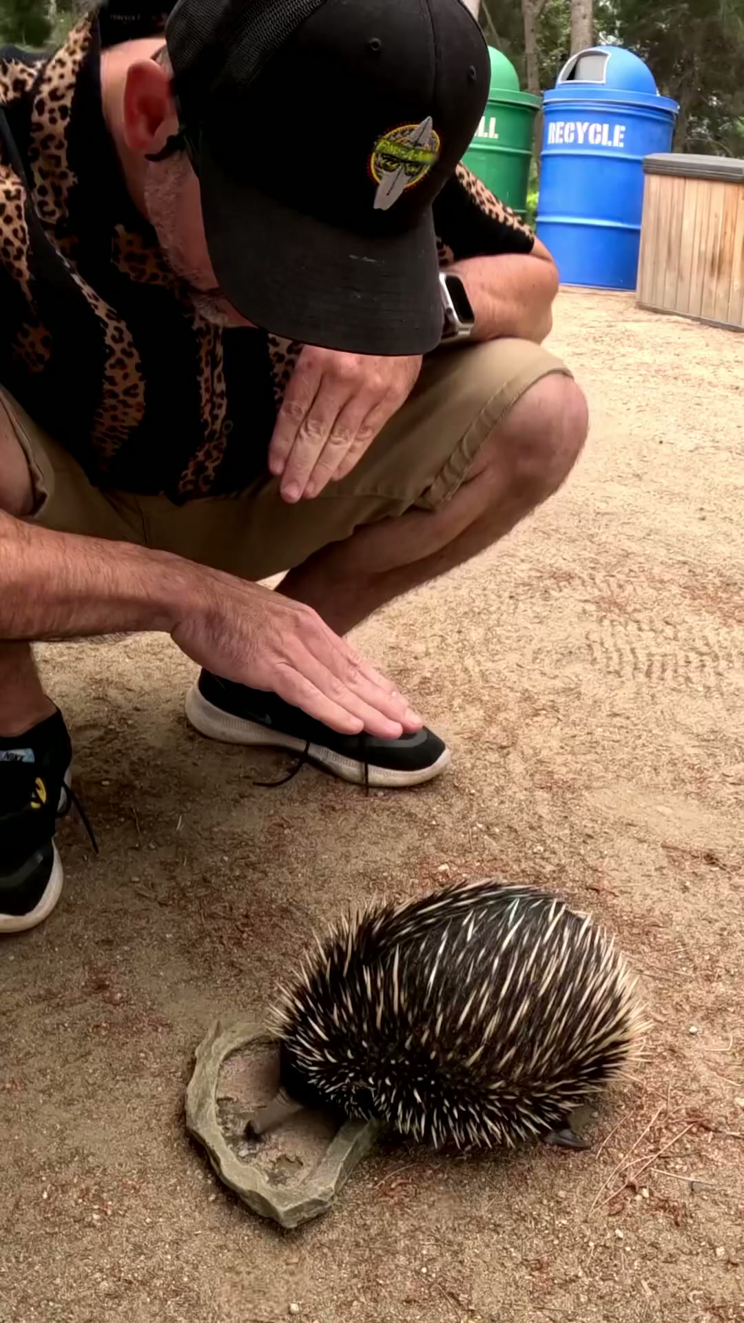 Blind guy meets spiky critter #shorts