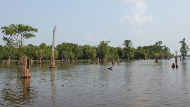 Researchers issue warning after discovering looming threat to coastal ...