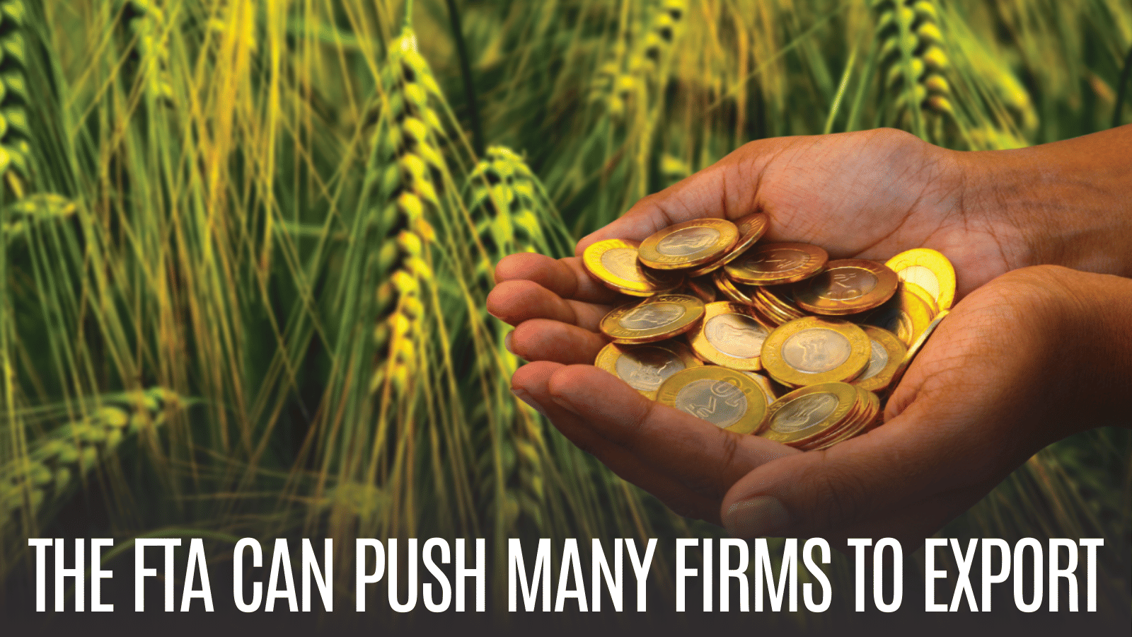 India EU FTA: Zero duty for agri exports including tea, coffee, meat ...