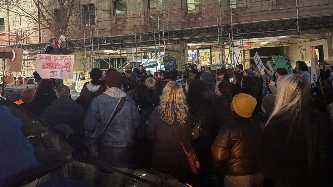 Hundreds of protesters rally outside city hall to protest ICE ...