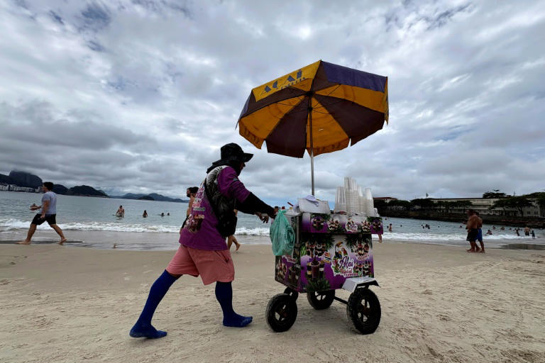 Brazil declares acai a national fruit to ward off 'biopiracy'