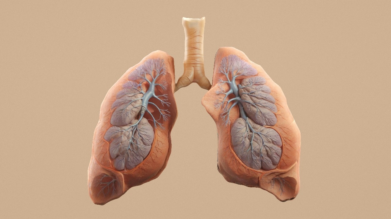 Two patients, two missed warning signs: Why lung diseases often don't ...