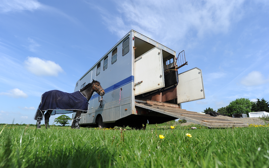 Horsebox study sheds light on most popular vehicles, cost and sale times