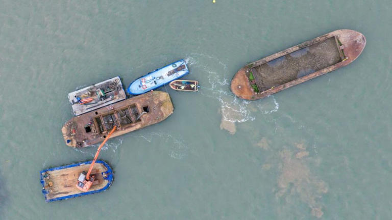 Sunken Thames barges create new island for birds
