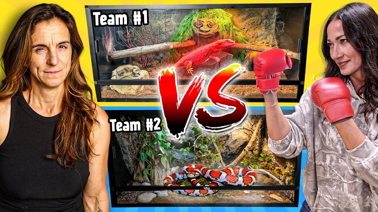 Which cages are truly safe when judgment day arrives