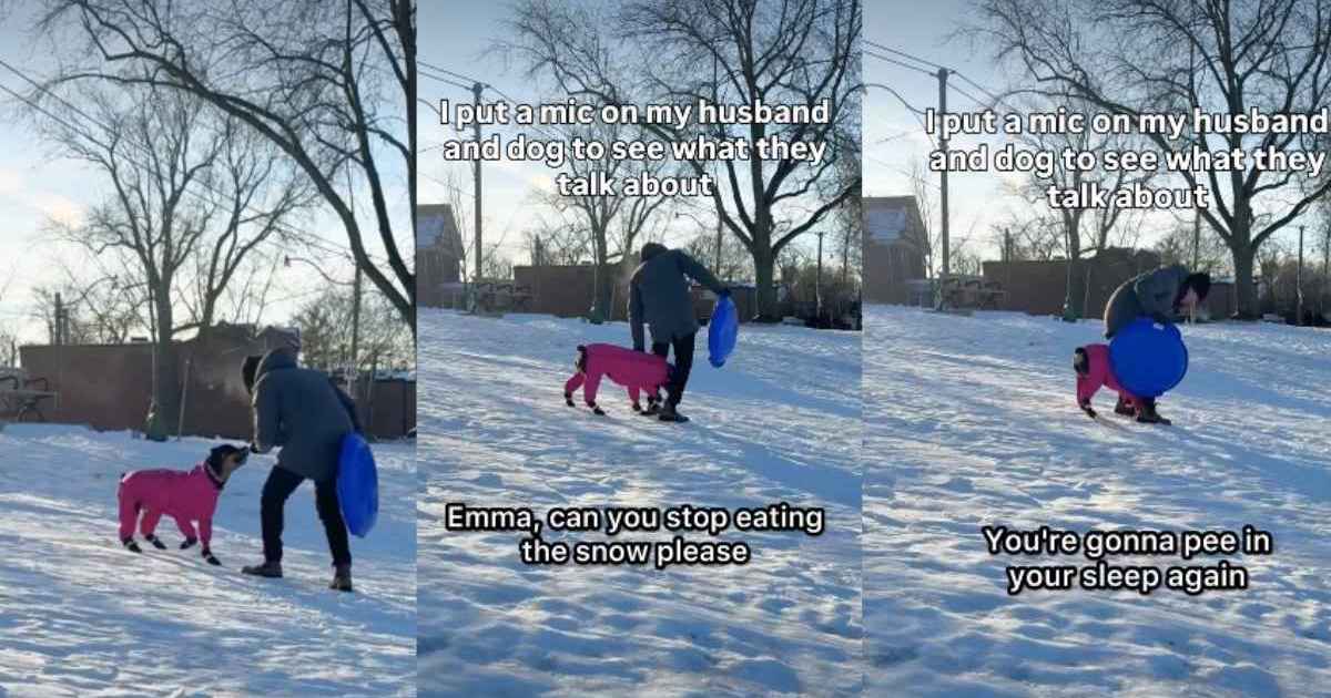 Video: Dog & dad's sledding game ends hilariously