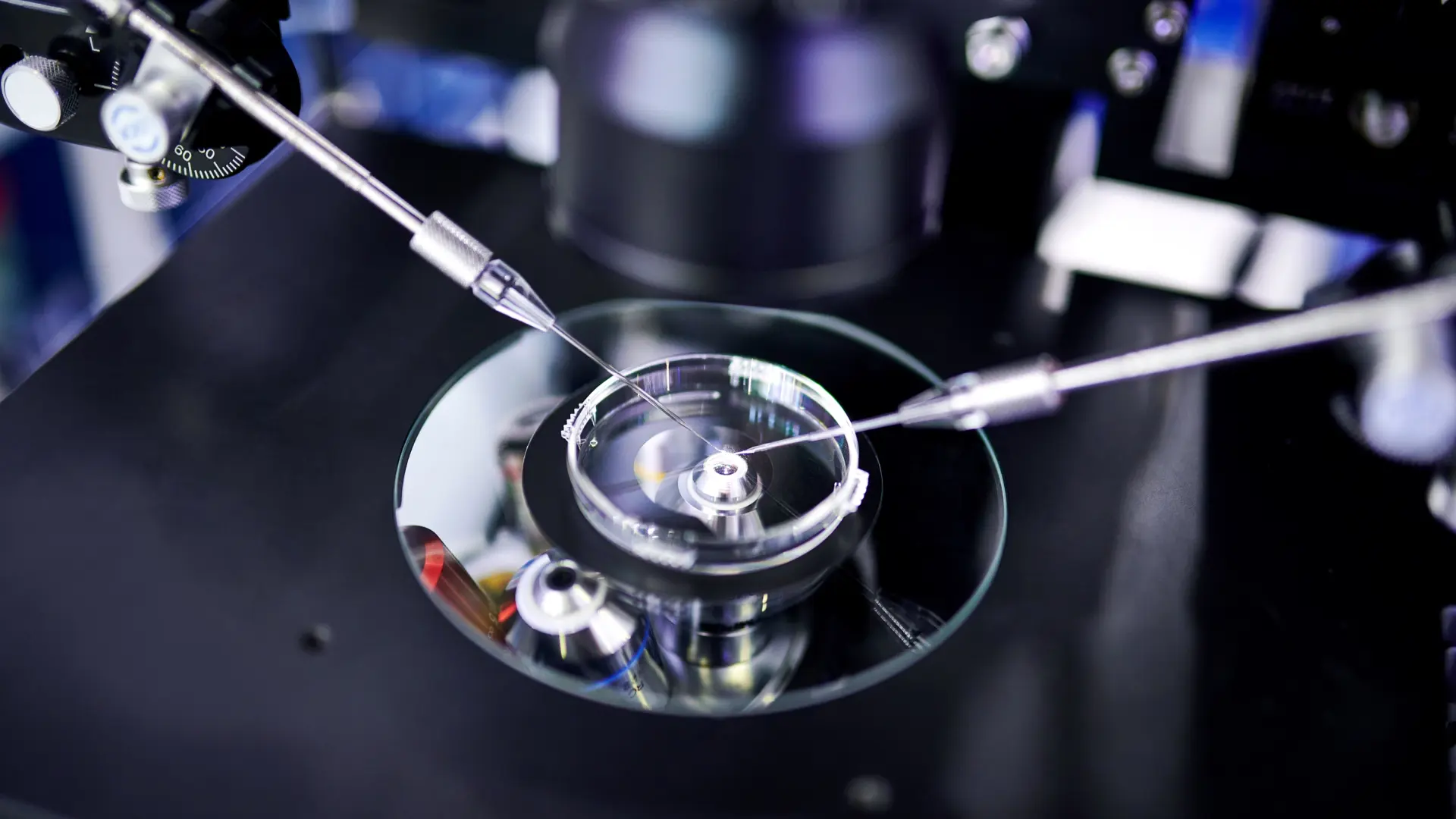 Descubren el patrón genético de la manía, síntoma del trastorno bipolar ...