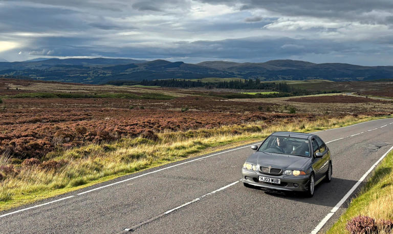 Better zed than dead