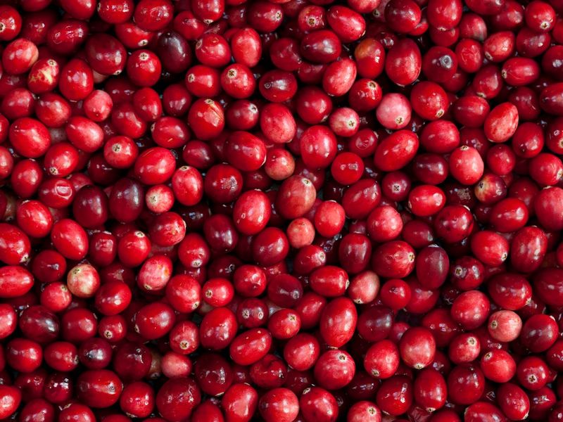 Why cranberries are a smart choice for you
