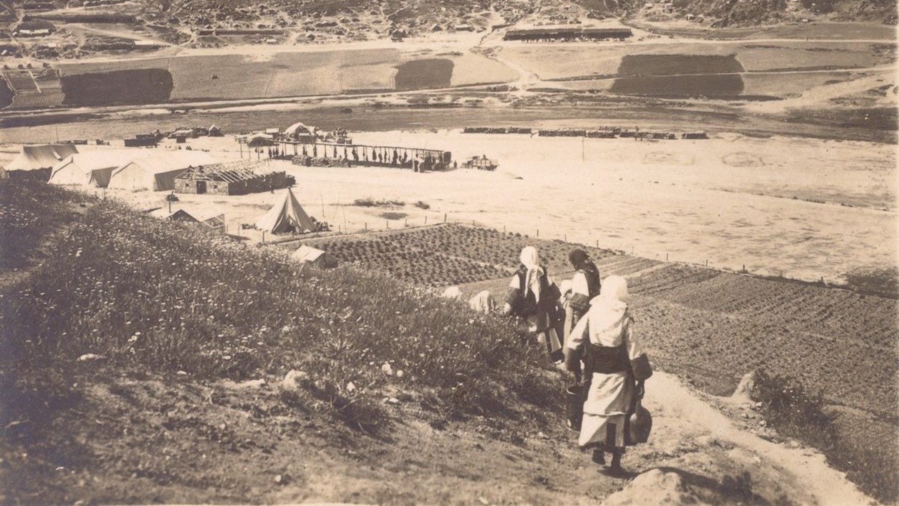 Foto del giorno: soldati fanno giardinaggio a Salonicco durante la ...