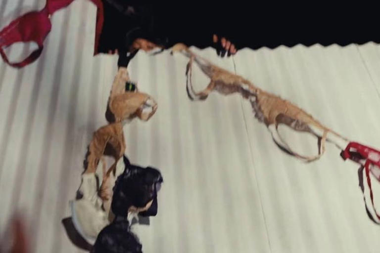 Sydney Sweeney posts cryptic response after Hollywood sign legal warning