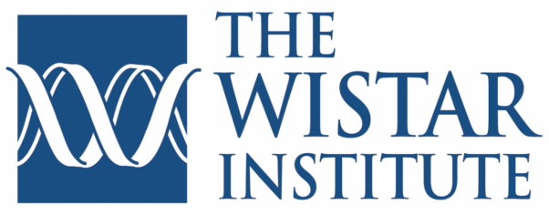 Wistar Institute recruits HIV vaccine pioneer Torben Schiffner, Ph.D ...