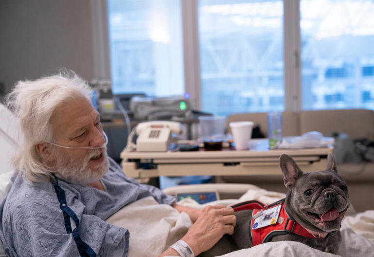 How a French bulldog brings joy to the TriStar Centennial family