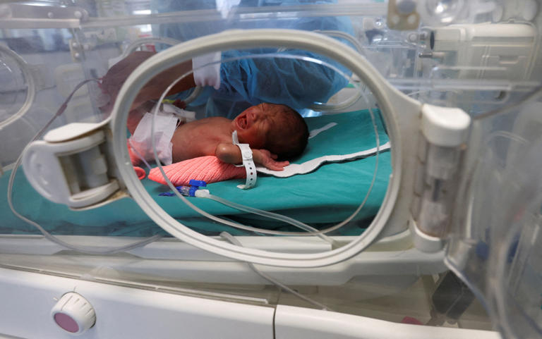 Israel’s attacks on Gaza fertility clinics shatter dreams of parenthood