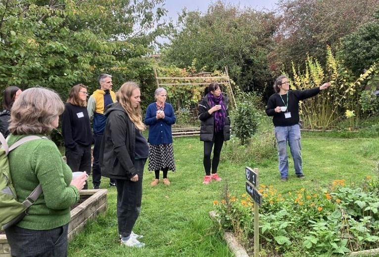 Growing connections with food and nature in the Brighton and Hove schools