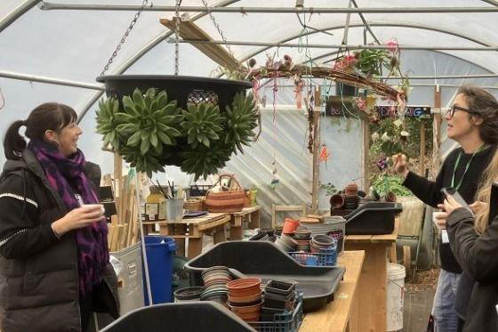 Growing connections with food and nature in the Brighton and Hove schools