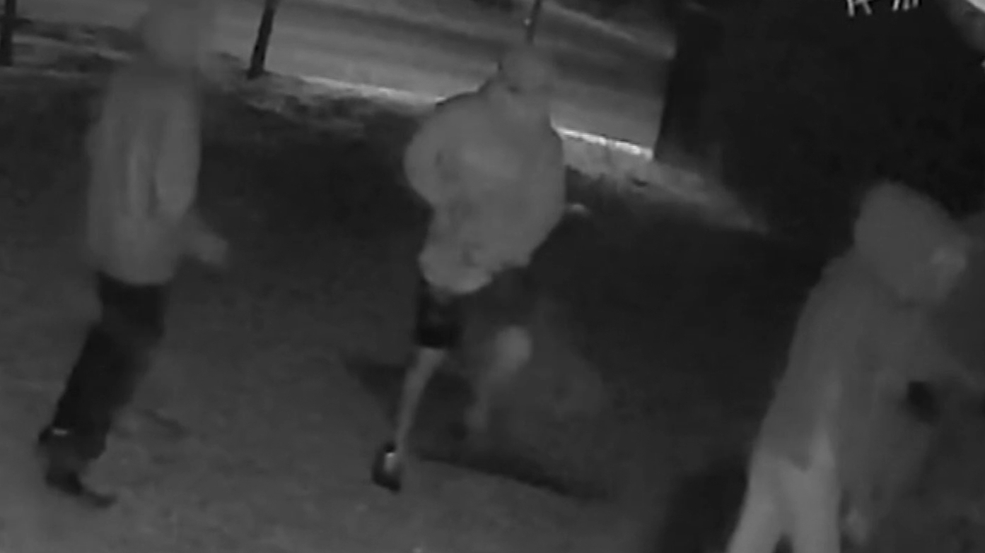 Man struck by machete and tree branch during alleged home invasion