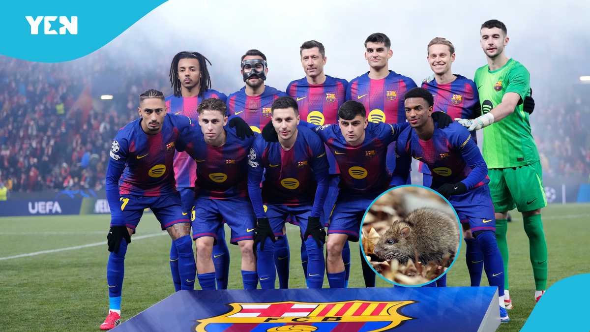 Embarrassing scenes: Rats spotted at Camp Nou before Barcelona vs ...