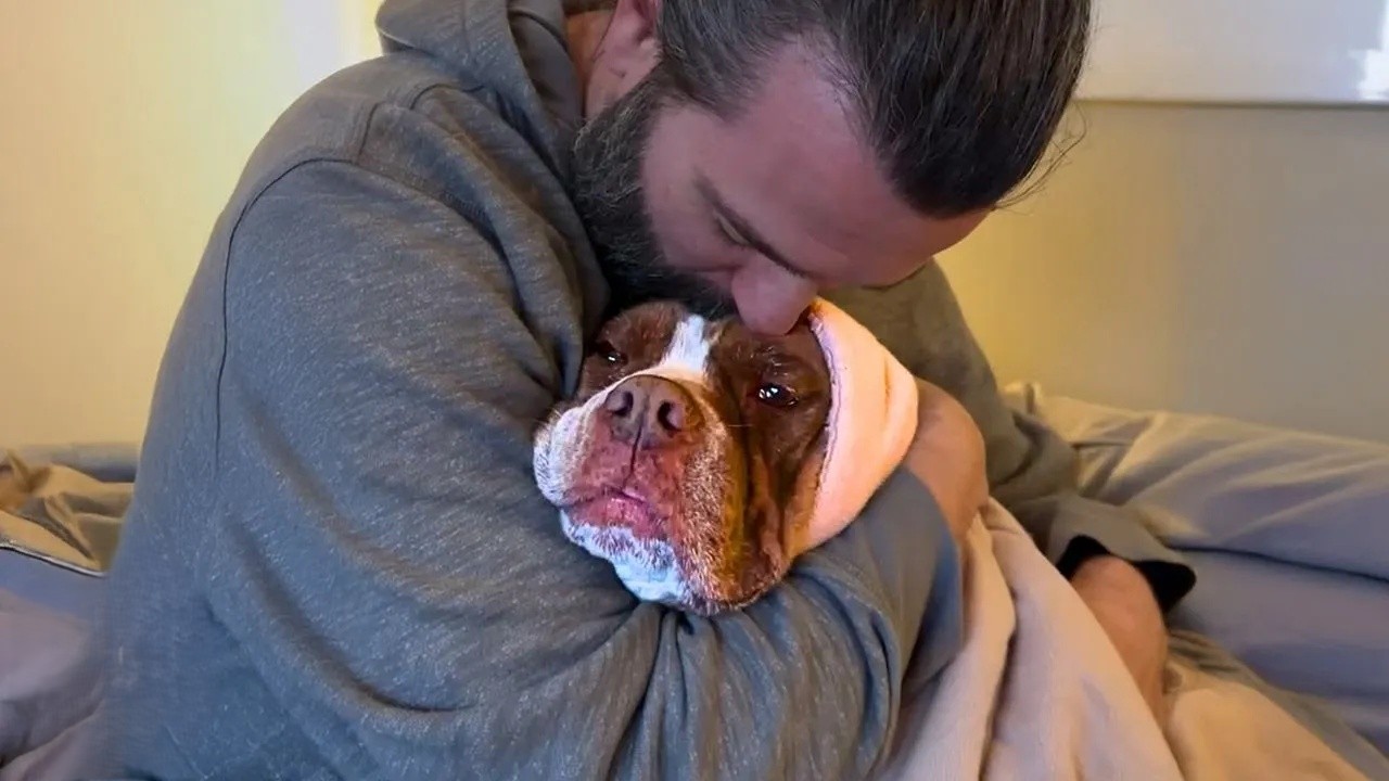 No one wanted her - now this rescue dog doesn’t let her dad out of sight