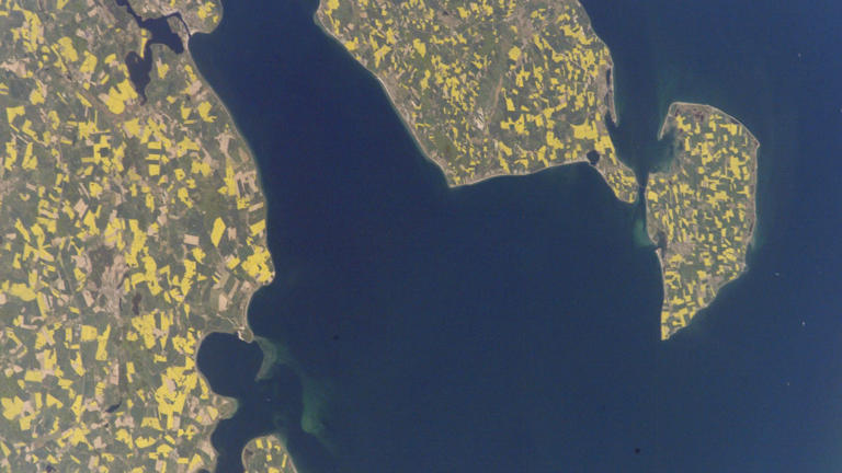 Geologists used sonar off the coast of Germany and discovered an 11,000 ...