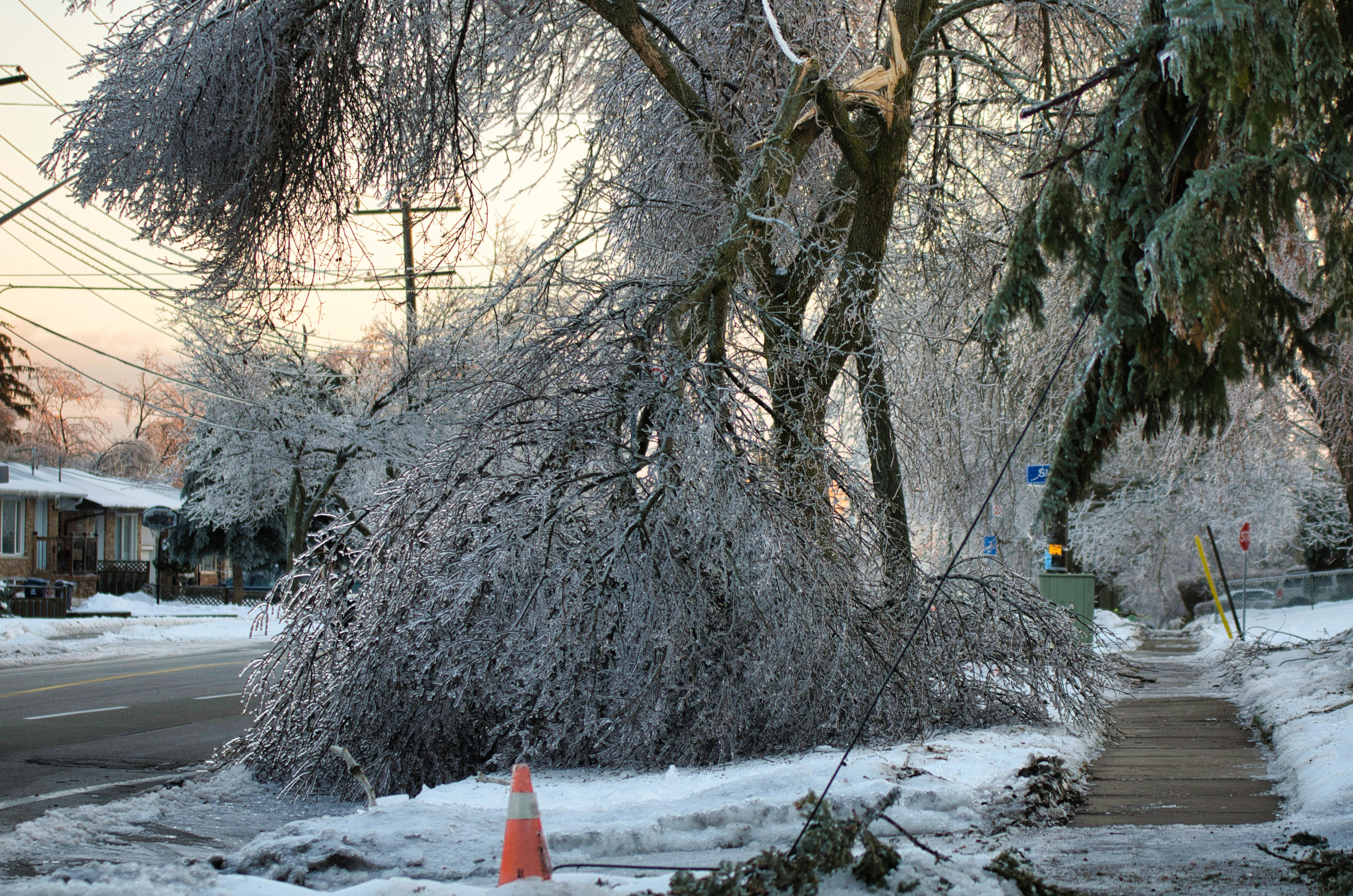 Texas opens online damage survey as winter storm recovery begins