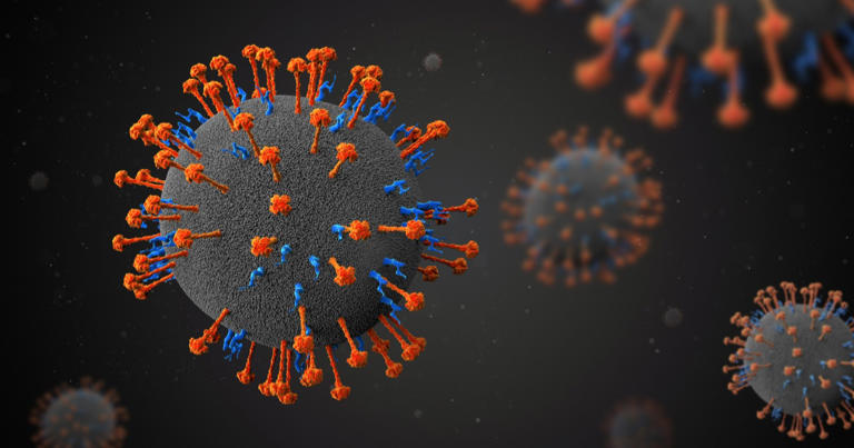 Explainer: Here's what you need to know about the deadly Nipah virus