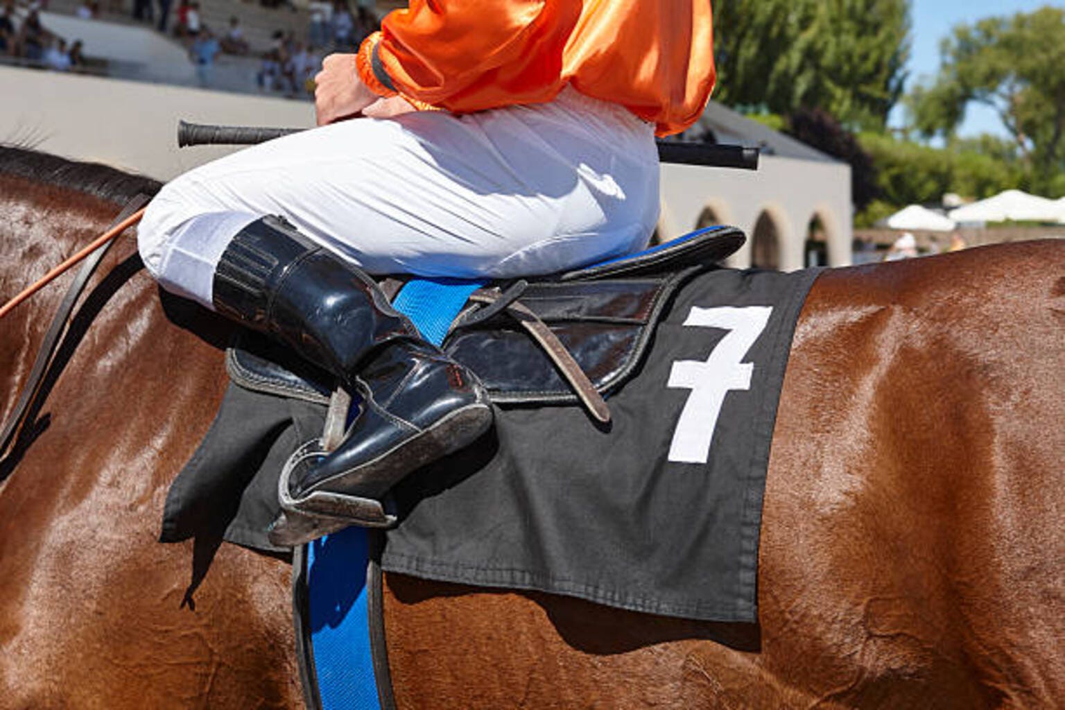 MAG 7 earnings begin this week, with capex and AI returns in the spotlight