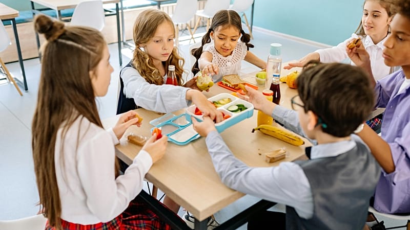 Countries worldwide must clean up school food as child obesity rises at ...