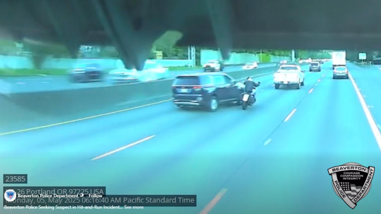 SUV’s reckless lane tactics caught on dash cam before ramming a ...