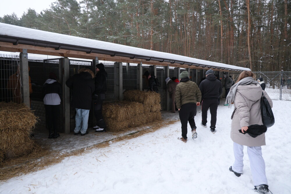 Mec. Topczewska: szykuję zawiadomienie o popełnieniu przestępstwa ws ...