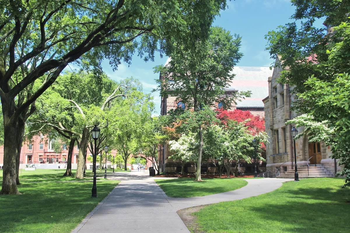 The truth about administrative bloat at US colleges