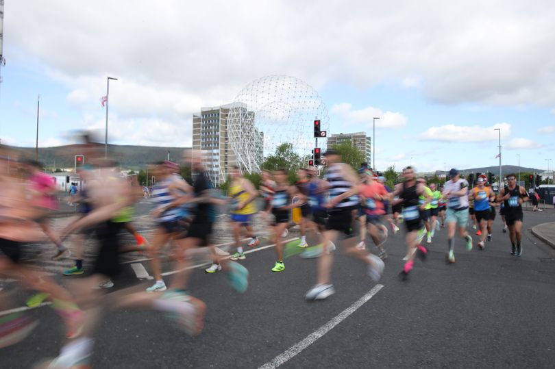 Belfast City Marathon charity spotlight: Assisi Animal Sanctuary