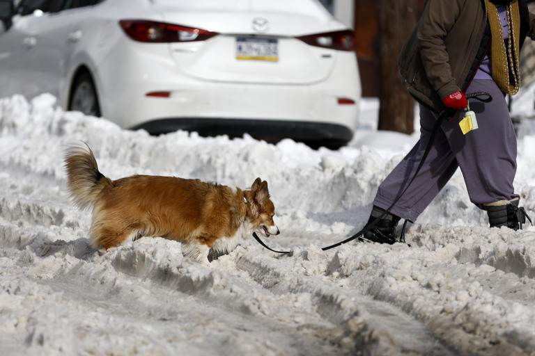 Many Philly side streets remain full of snow and ice days after Sunday ...