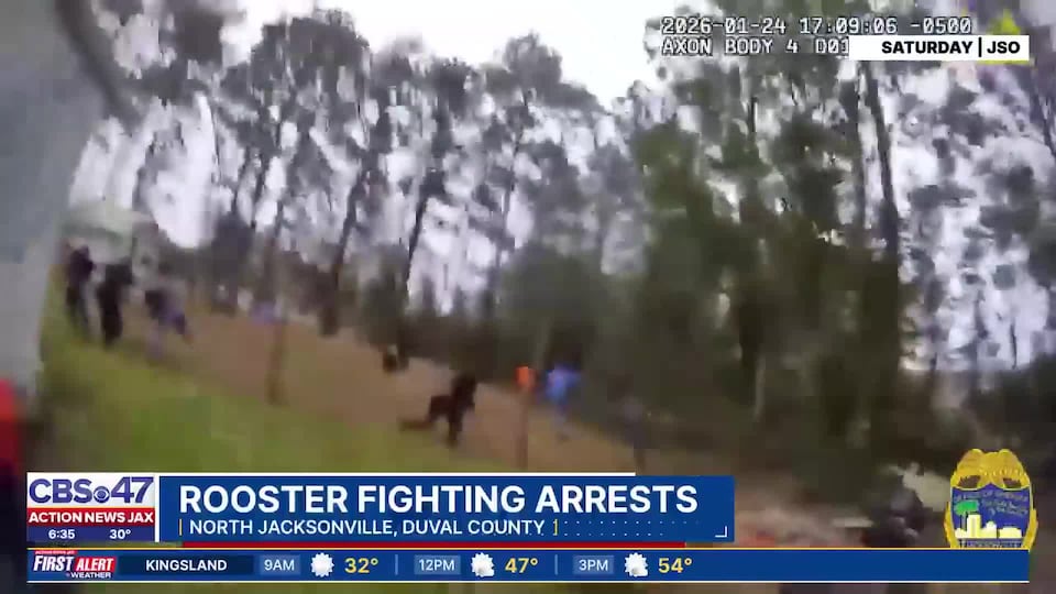 11 men arrested in Jacksonville rooster fighting ring