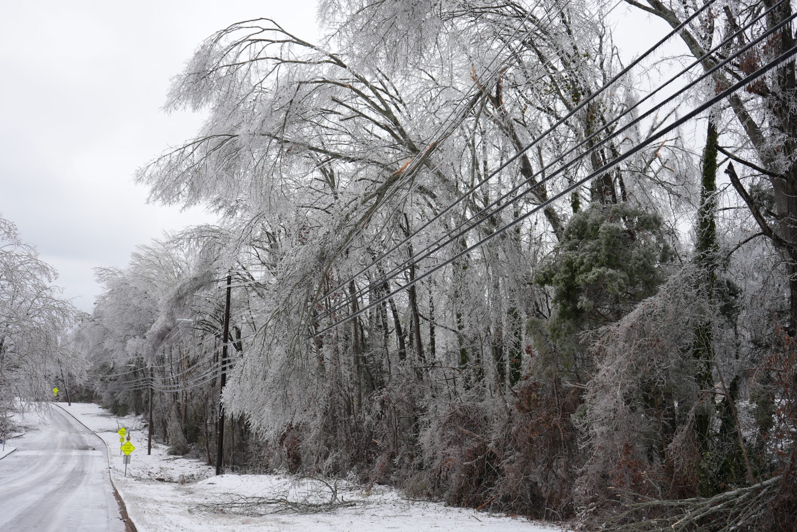 Brief winter thaw to help with major melt of South's historic snow and ice
