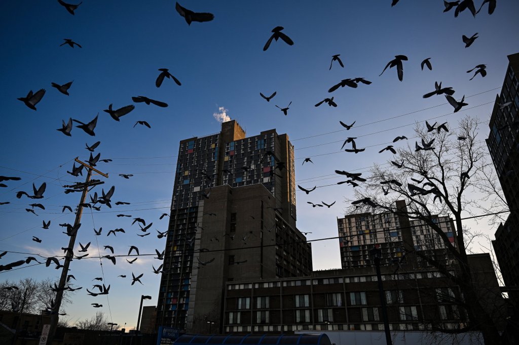 At day cares in Minnesota, harassment and fear of ICE takes hold