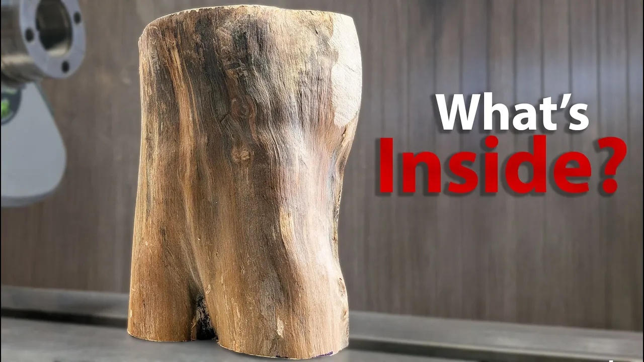 What's hiding inside this pear log?