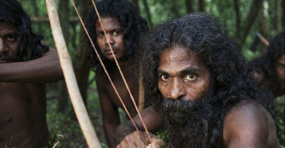 Geologists used sonar off the coast of Germany and discovered an 11,000 ...