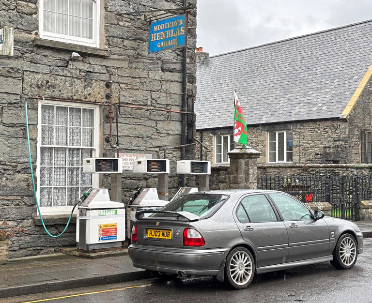 Better zed than dead