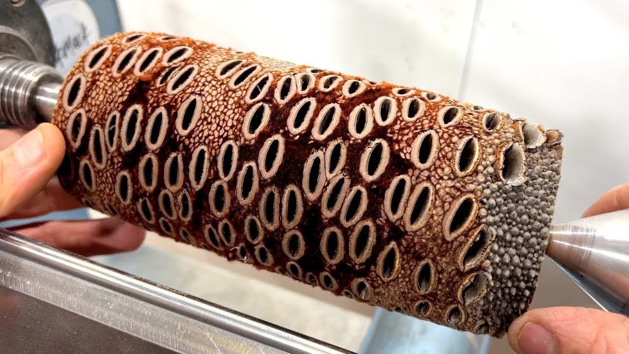 This woodturning project might make people uncomfortable