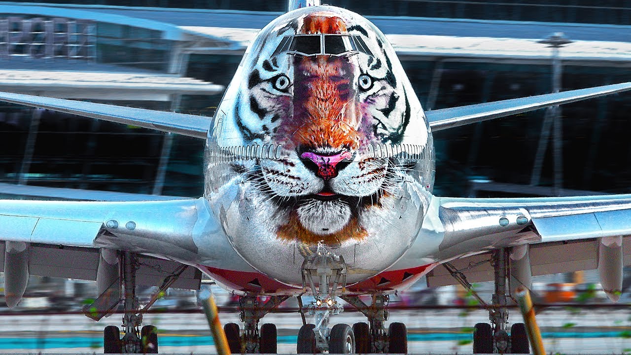 Watch planes turn a beach into an aviation playground