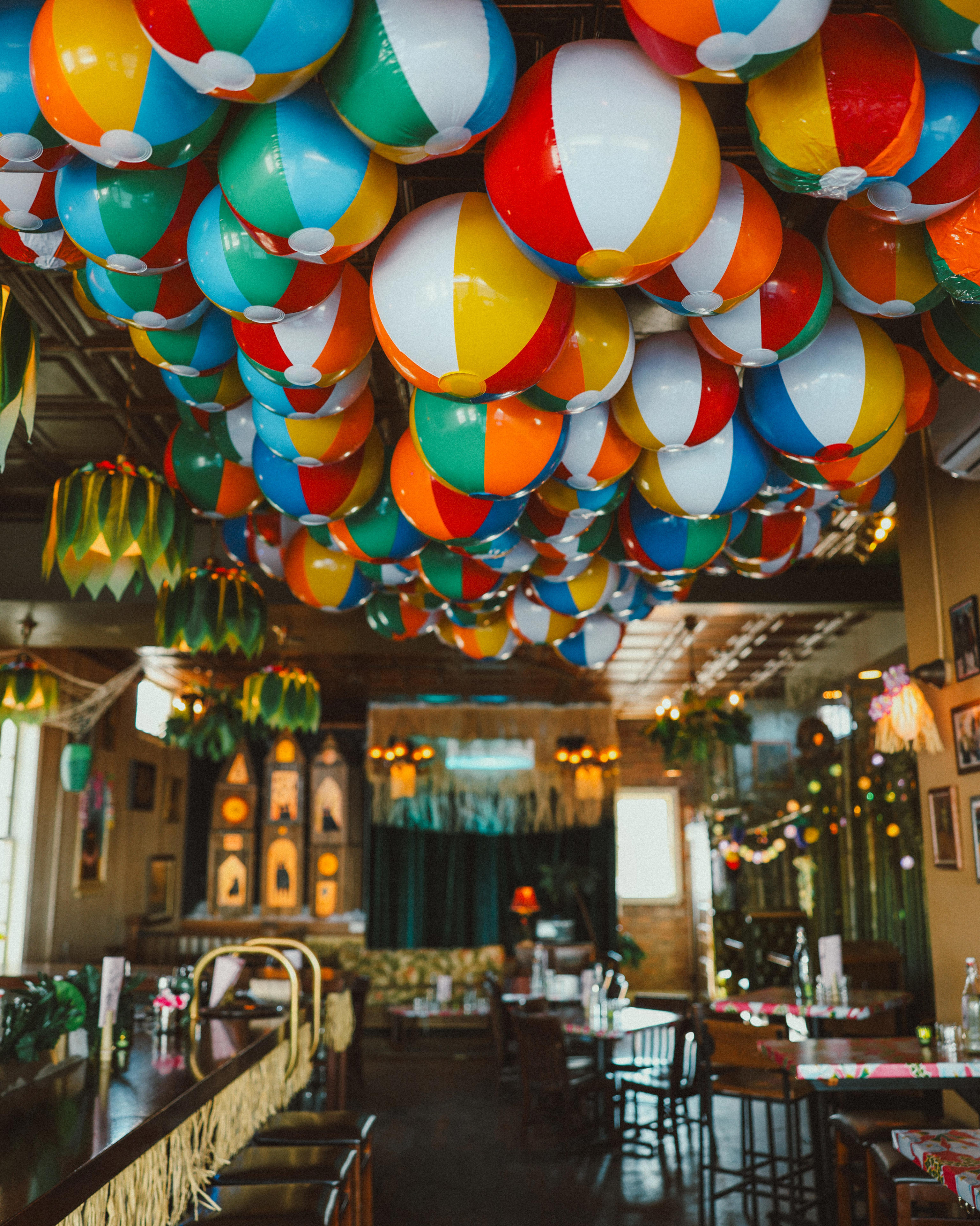 Goodbye, winter. Little Jumbo goes tropical for February