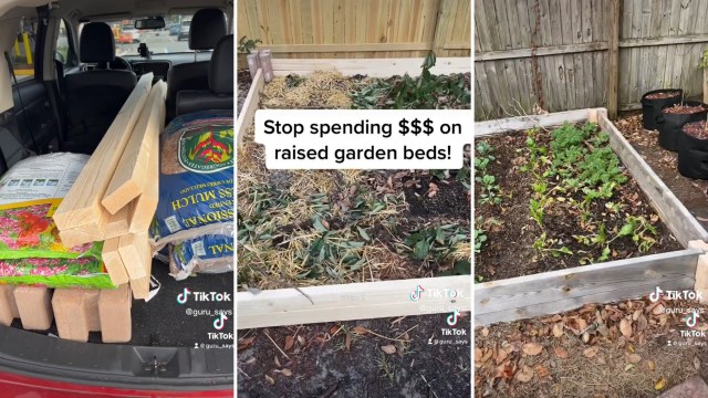 Gardener shares the most affordable way to add raised garden beds to ...