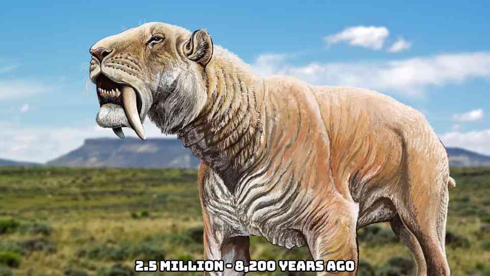 When early humans crossed paths with predators built to kill