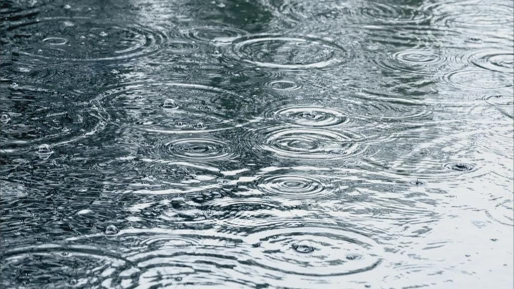 Tempestade Kristin deixa rasto de destruição em Torres Vedras. Escolas ...